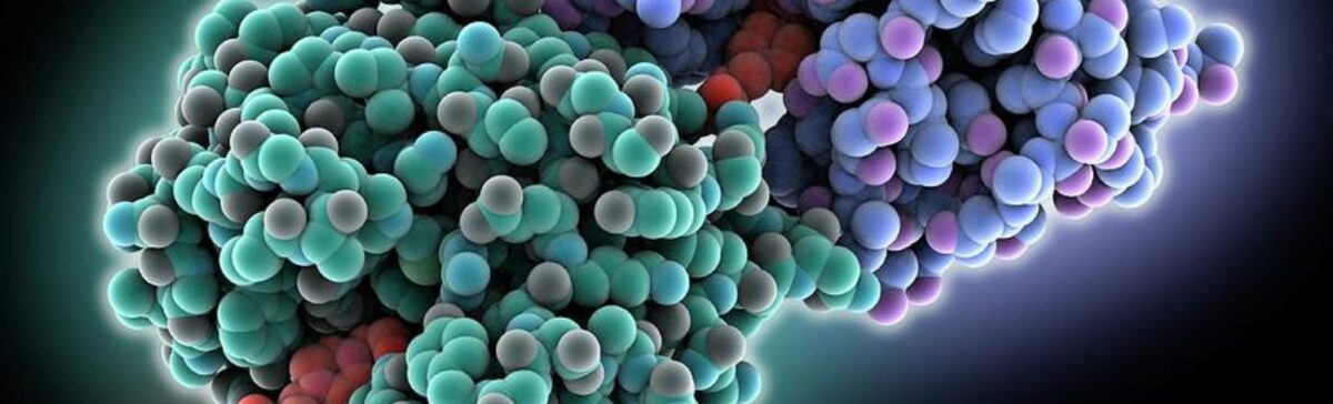 Betaglucanase Enzyme (Betazyme) – Phytobiochem